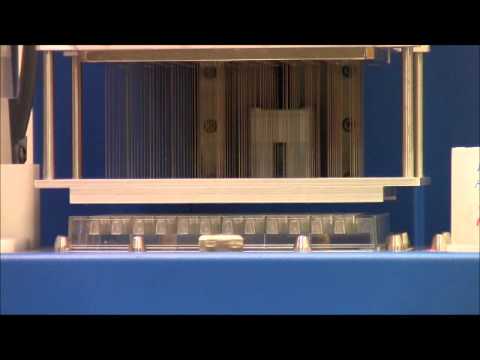 ARI Crystal Gryphon Step 2 - YouTube