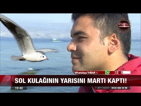 Martı'nın Kaptığı Kulak 100 Bin TL - 23 Ekim 2017