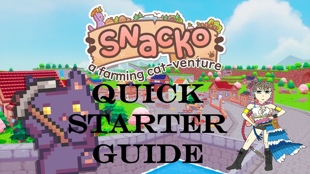 Snacko - Quick Starter Guide *Early Access Version* - YouTube
