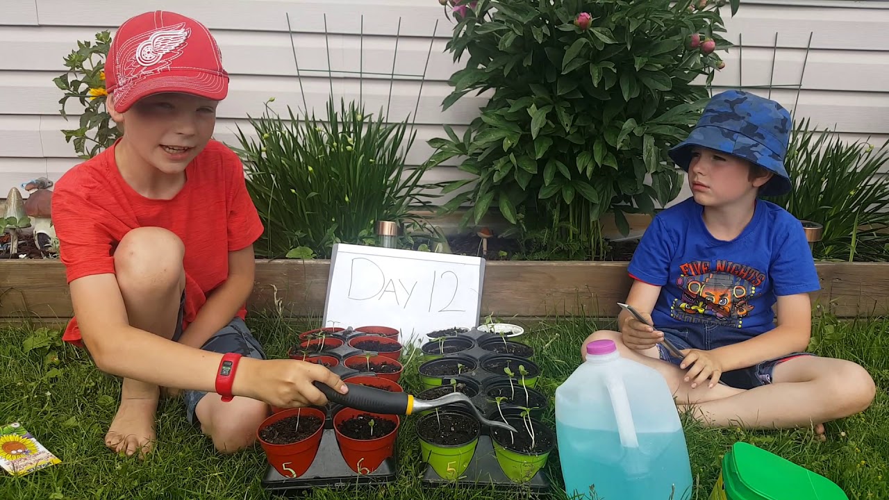 Our June Science Experiment PT.2 - YouTube