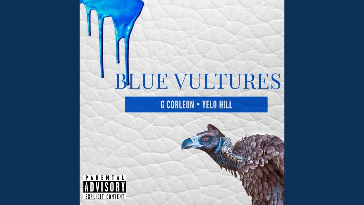 Blue Vultures - YouTube