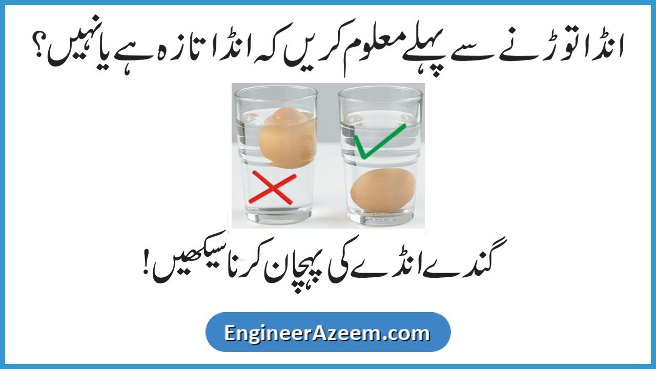 How To Check Eggs | How To Tell If Eggs Are Fresh | Check Eggs Are Good ...