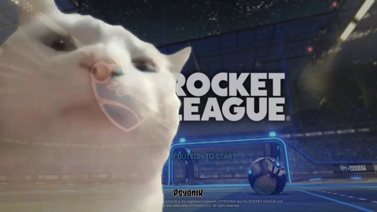 Cat vibing to Rocket League menu song - YouTube