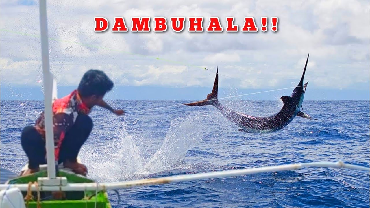 DAMBUHALA | GIANT SWORDFISH BUWIS BUHAY TALAGA BAGO MAISAMPA | DALAWA ...