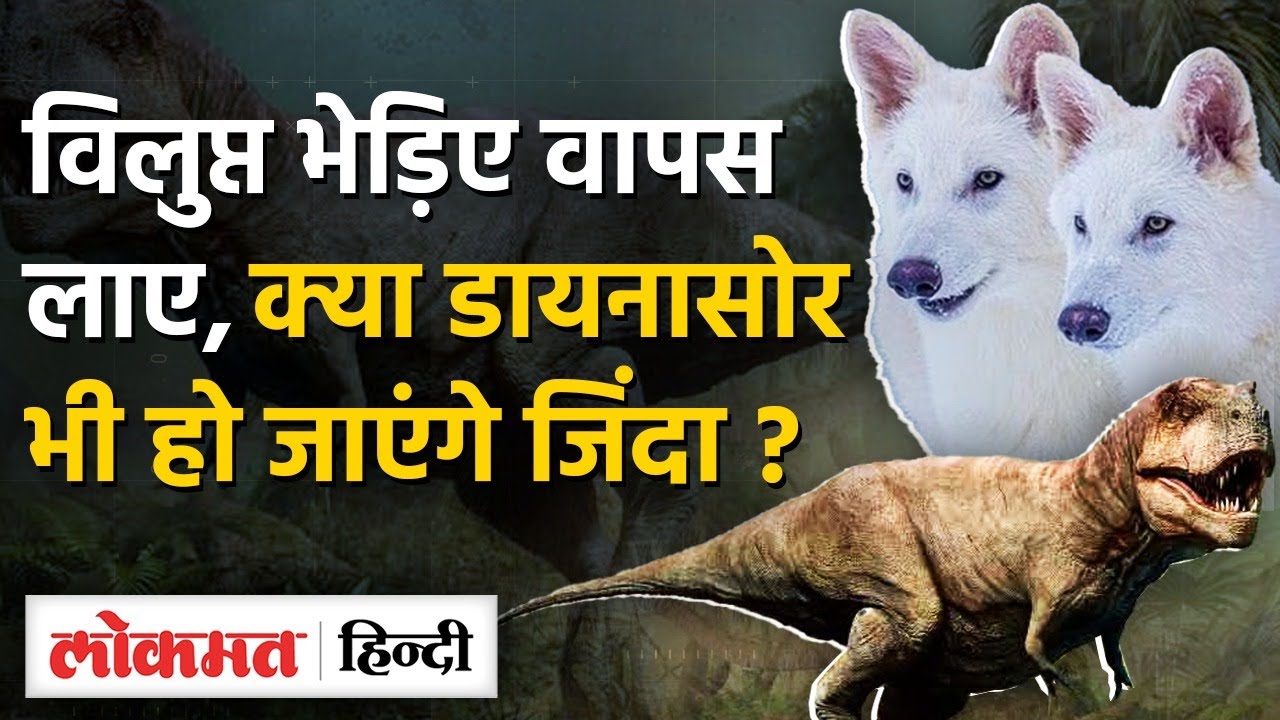 Scientists ने विलुप्त Dire Wolf को फिर से किया जिंदा, क्या Dinosaurs भी ...