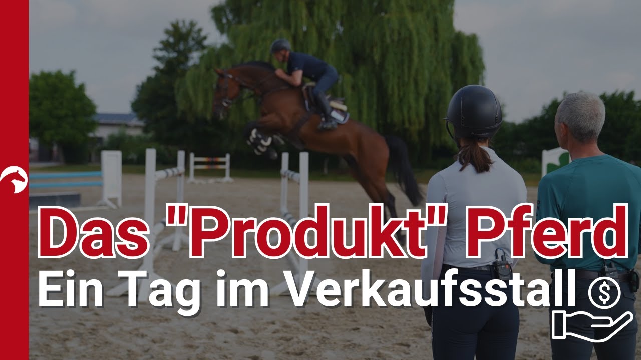 Was Ist Mein Pferd Wert