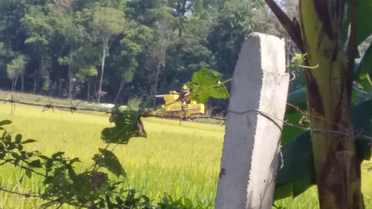 Mesin padi kedah - YouTube