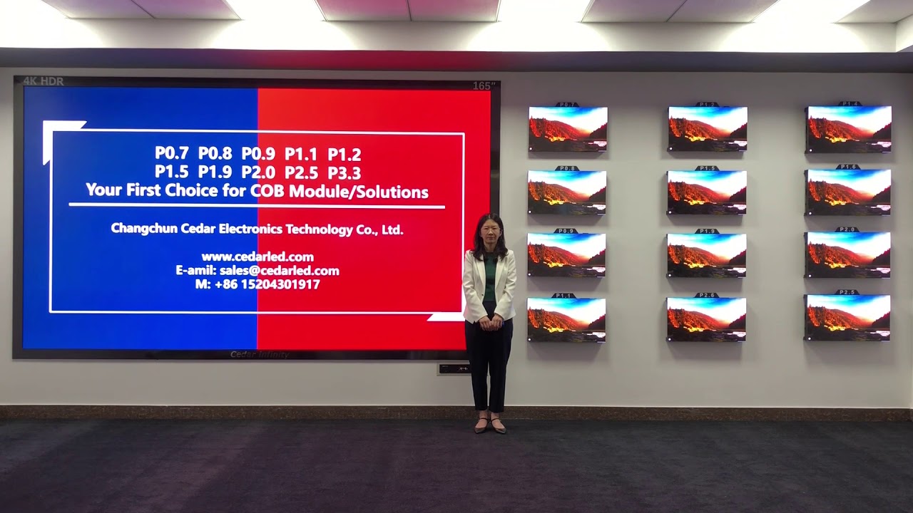 Cedar Electronics_P0.7～P3.3 flip chip COB display, further details plz contact sales@cedarled ...