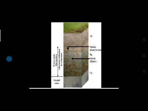 Process of Alkalization and gleization in Soil - YouTube