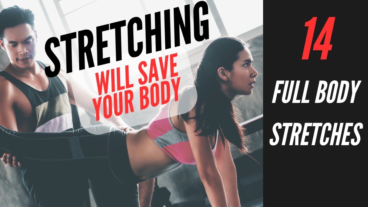 STRETCHING WILL SAVE YOUR BODY | 14 FULL BODY STRETCHES | Haachiko ...