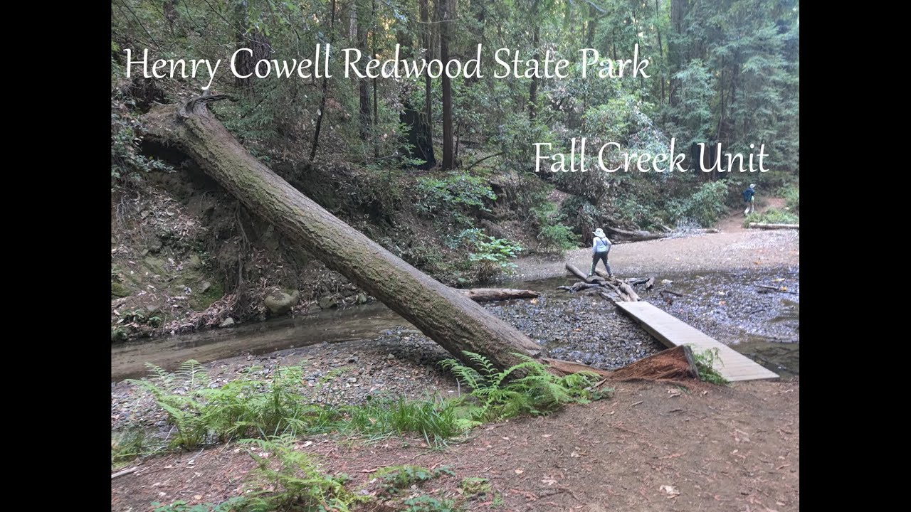 853 - Henry Cowell State Park Fall Creek Unit - YouTube