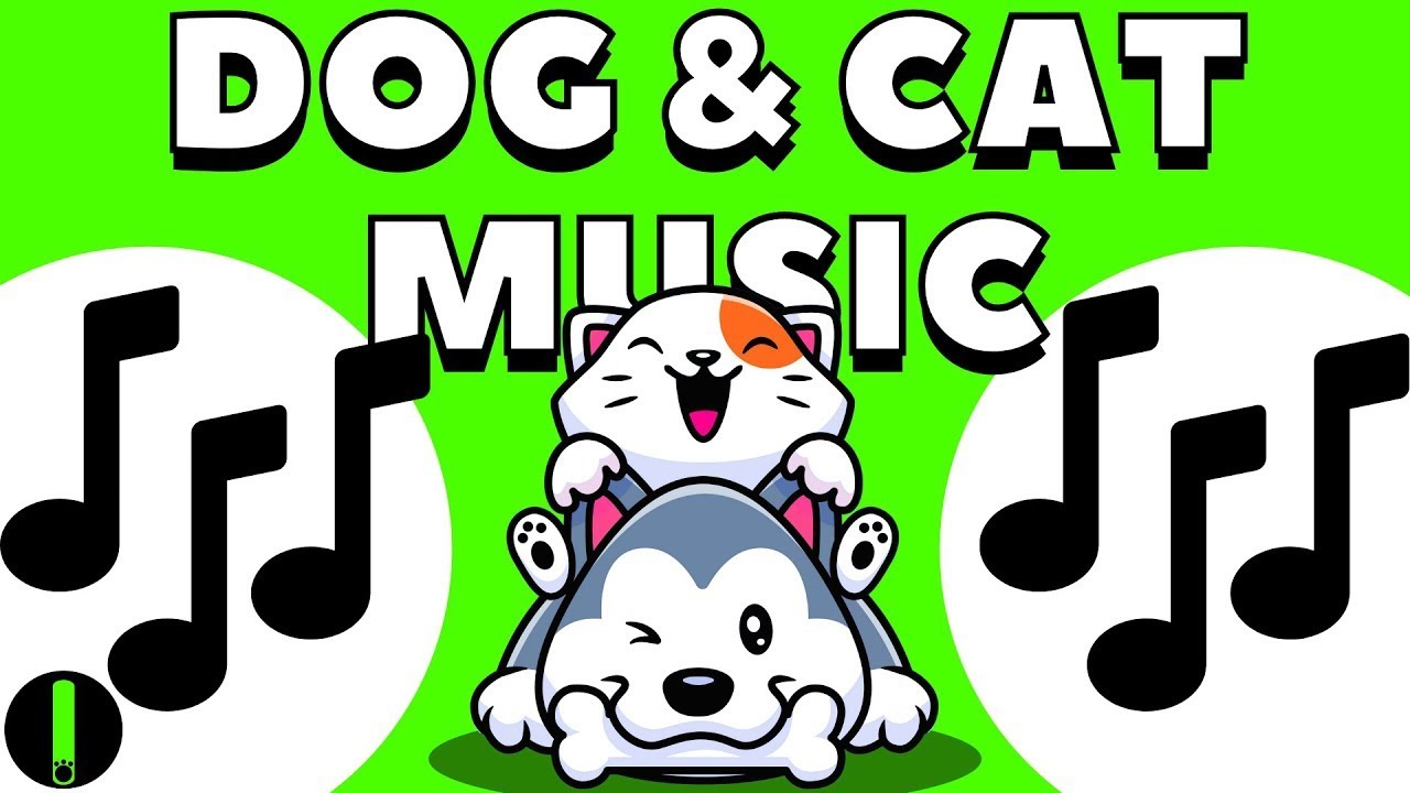 Music For Dogs And Cats - YouTube