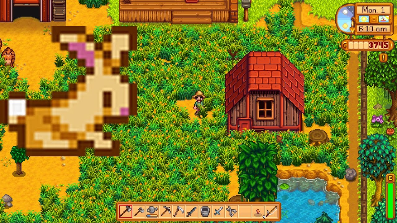 Stardew Valley- Things you need to know about rabbits - YouTube