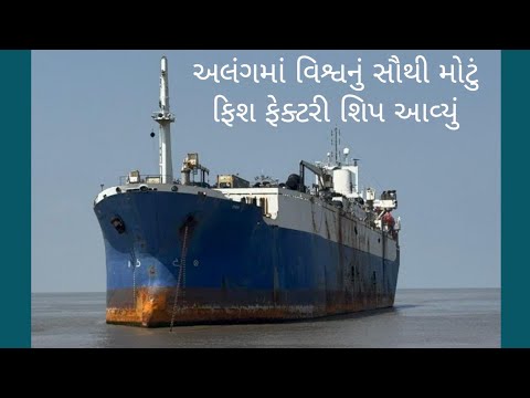 અલંગમાં વિશ્વનું સૌથી મોટું ફિશ ફેક્ટરી શિપ/The Biggest Fish Factory ...