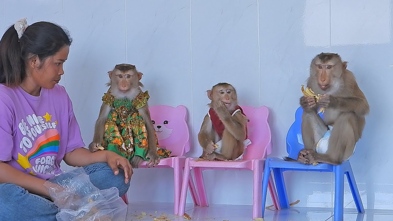 Adorable Kako Family Enjoying Sweet Bread - YouTube