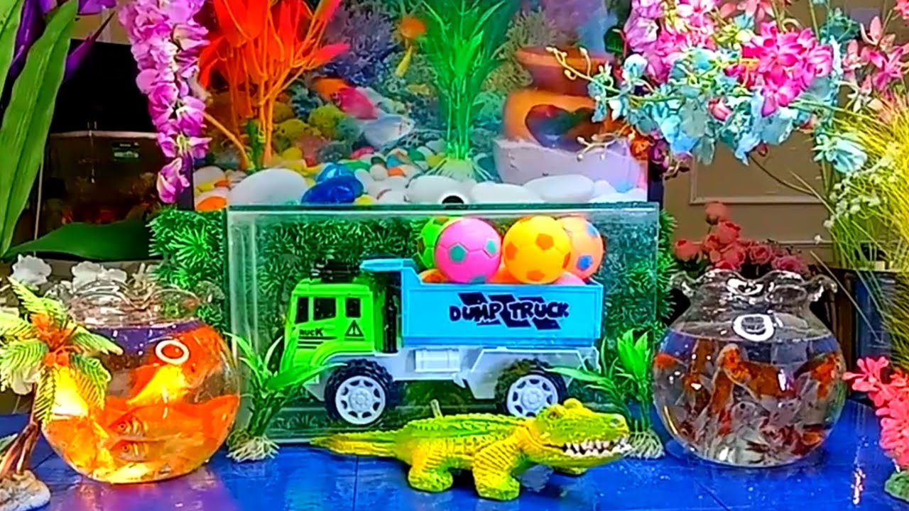 AQUARIUM MOBIL TRUK BOLA WARNA WARNI IKAN HIAS DALAM GELAS - YouTube