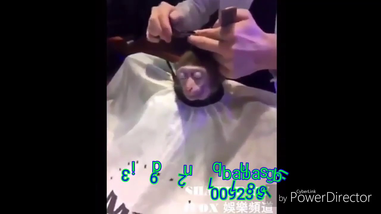 Hear cating - YouTube