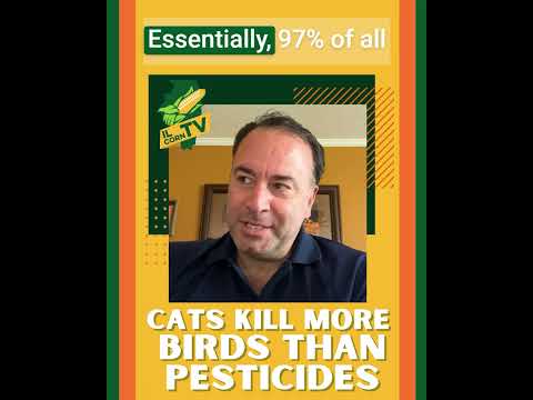 Are More Birds Killed By Pesticides Than Feral Cats