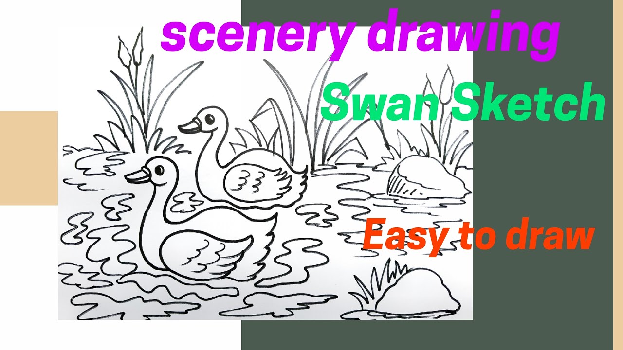 How to draw Swan scenery | Drawing | Scenery Sketch - YouTube