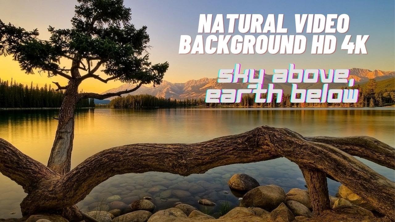 Natural video background HD 4k Short Natural Video - YouTube