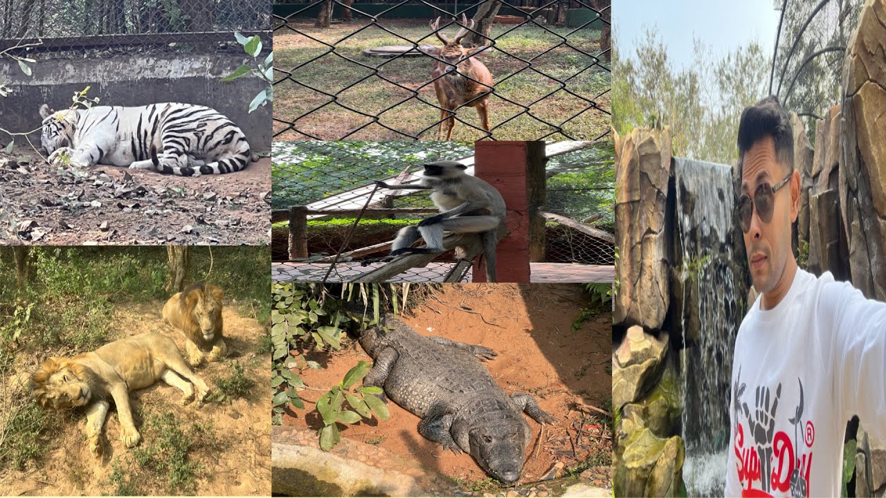 NANDANKANAN Zoo Safari 2025 Full Information 🐯Best Zoo in India🦁 ...