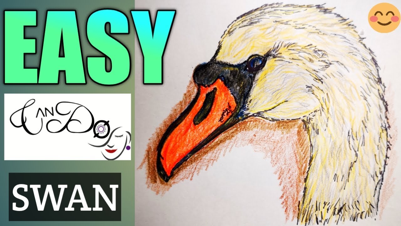 How To Draw A Swan Step By Step For Beginners | Easy Close Up Swan Head ...