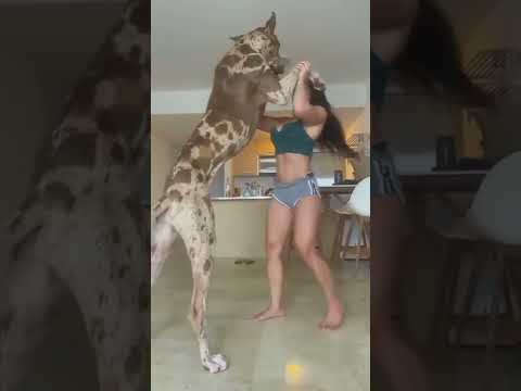 legend 🤣 #drivingfails #shorts #viral #reels #funny #video #trending #subscribe #