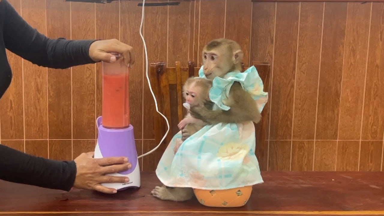 Marrya Sit Comfy Tiny A Tong Wait Mom Make Melon Shake - YouTube