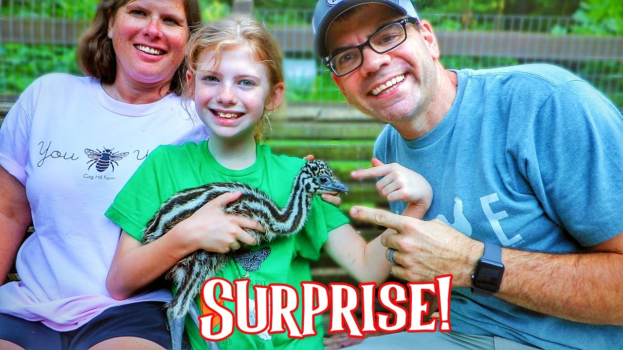 We’re Getting a Baby EMU!! [Our New Farm Pet] - YouTube
