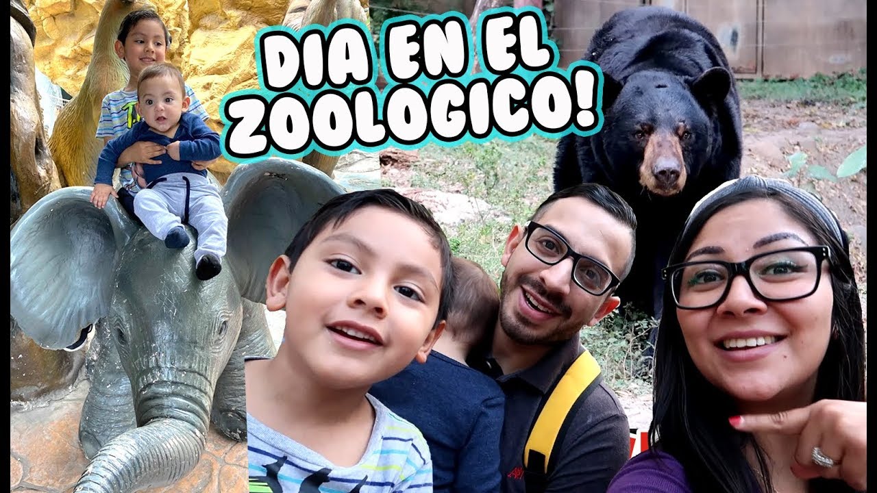 Día en el Zoológico | Paseo Familiar | Family Juega - YouTube