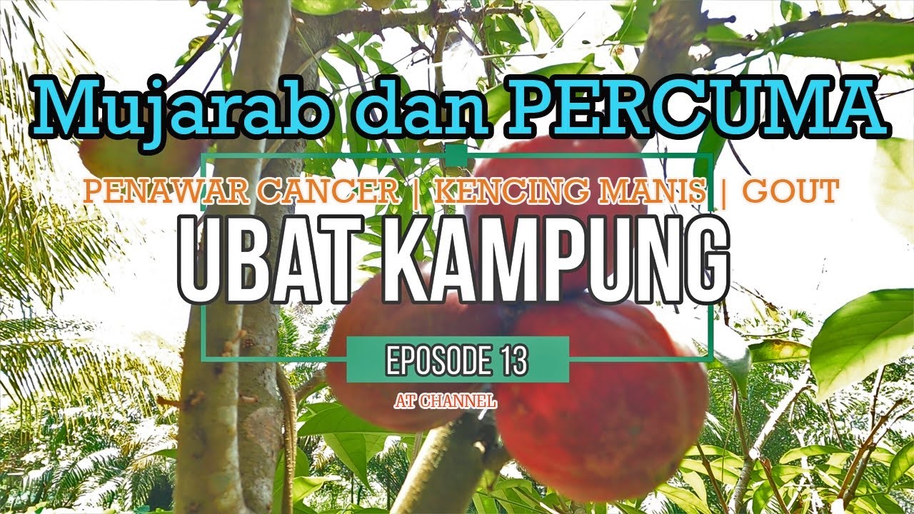 Ubat CANCER, KOLESTROL DAN GOUT | Ubat kampung (Ep.13) - YouTube
