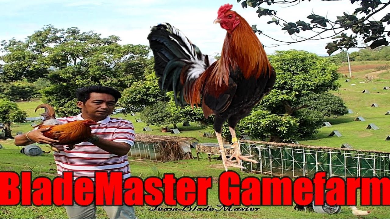 Lets Visit The Farm Of Blade Master Gamefarm - YouTube