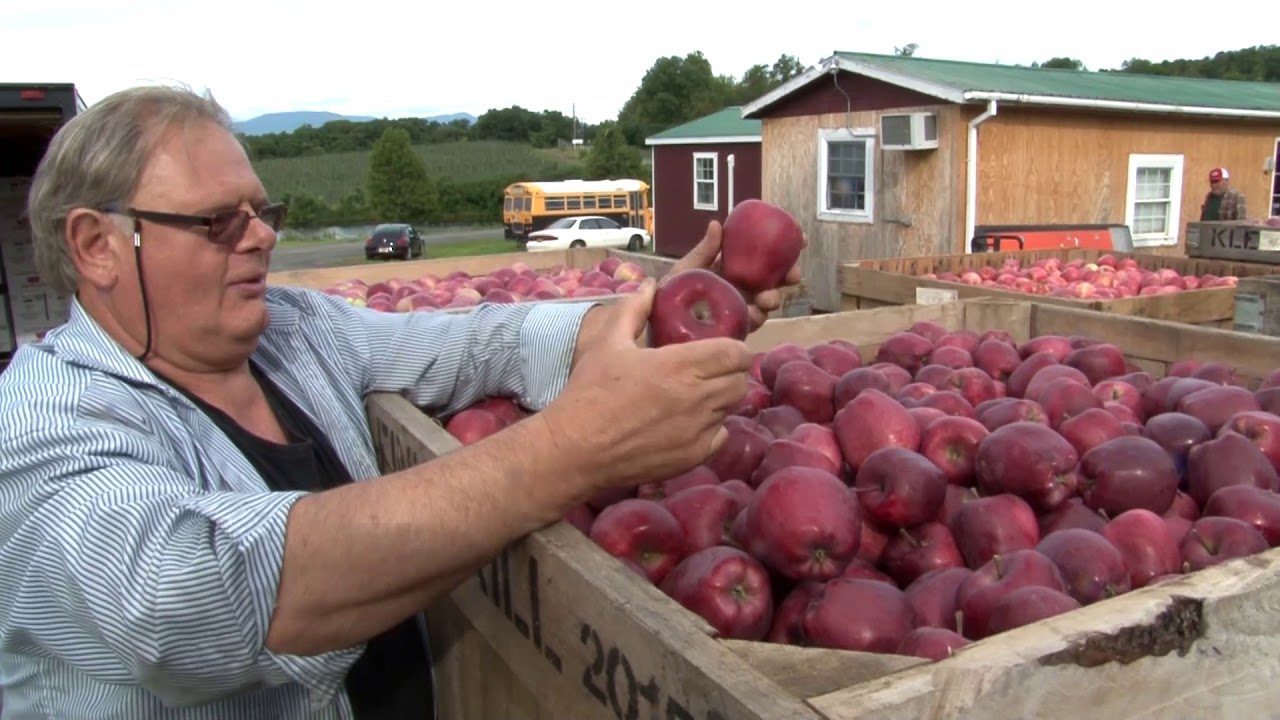 UNITED BROTHERS FRUIT MARKET 2019 - YouTube