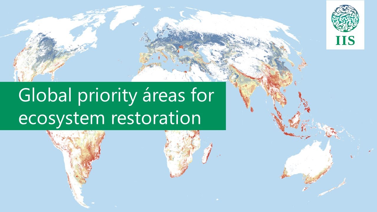 Global priority areas for ecosystem restoration - YouTube