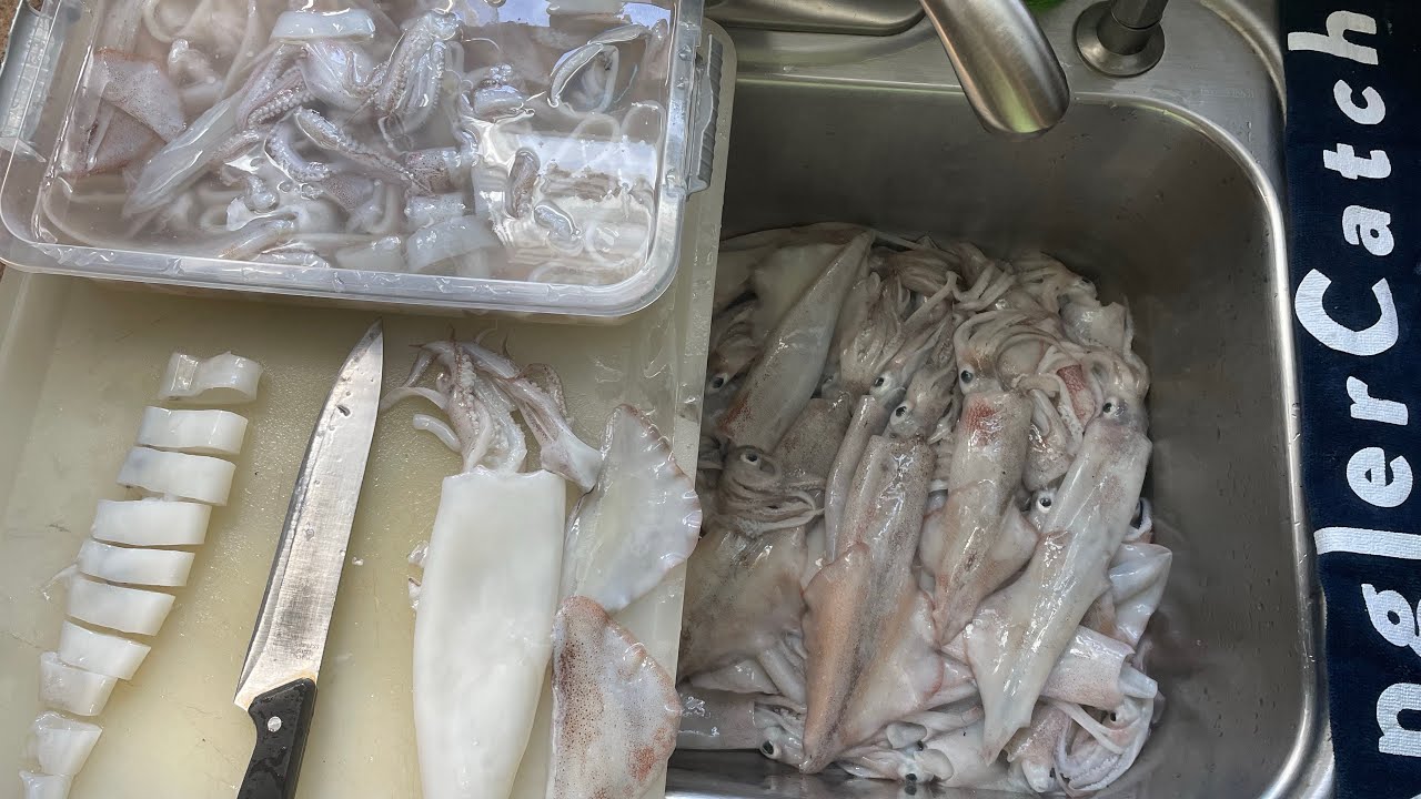 Fun squid fishing trip. - YouTube