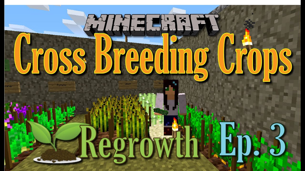 Minecraft Regrowth - Episode 3 - How to Play: with Mattbrush ...