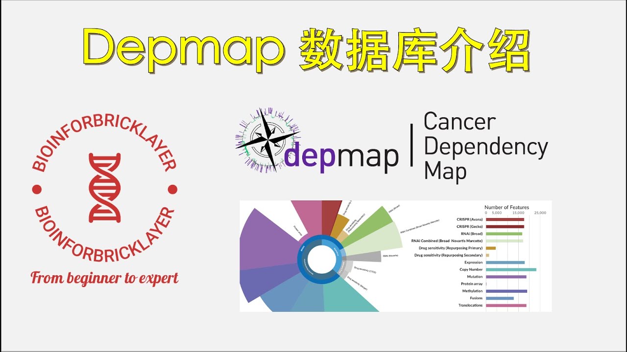 【生信进阶之路｜资源篇01】Depmap数据库入门介绍 - YouTube