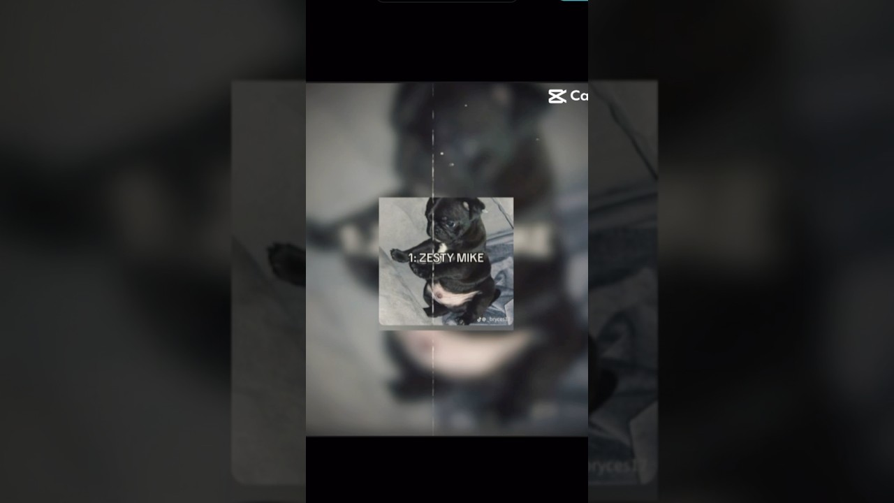 Zesty Mike edit #zesty #memes #funny #zestymike - YouTube