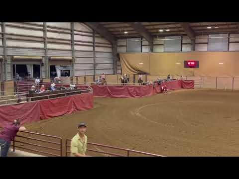 Doc solenas acre : doc Holliday Starkville