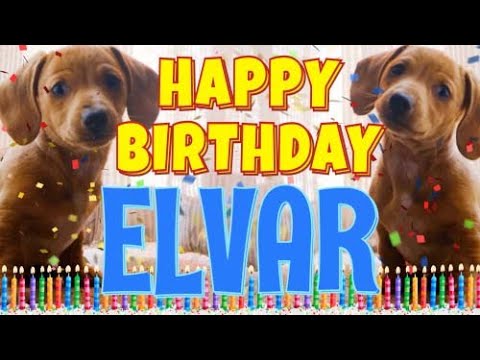 Happy Birthday Elvar! ( Funny Talking Dogs ) What Is Free On My Birthday