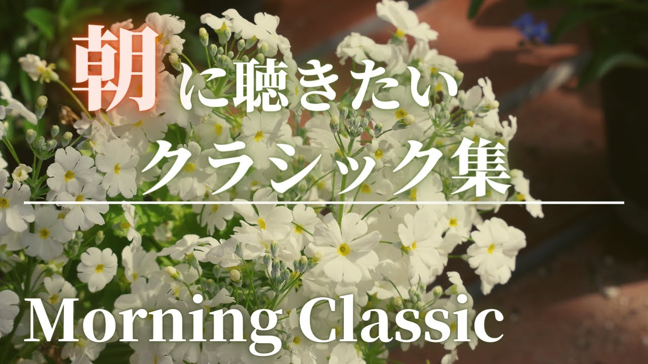 【名曲クラシック】朝に聴きたい名曲クラシックメドレー 目も覚める！やる気が出る！クラシック音楽でリフレッシュ 作業用BGM Morning ...