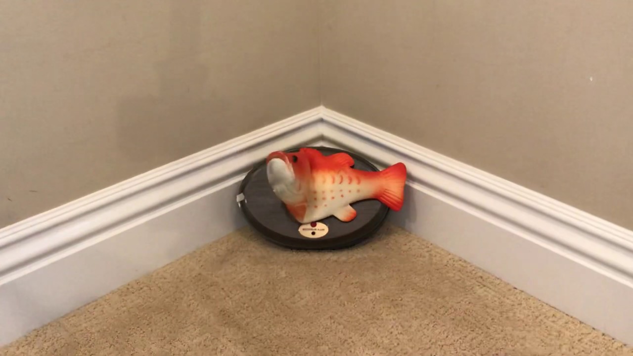 веселый карп Cheerful Carp Russian Fish Orange Animated Singing Fish ...