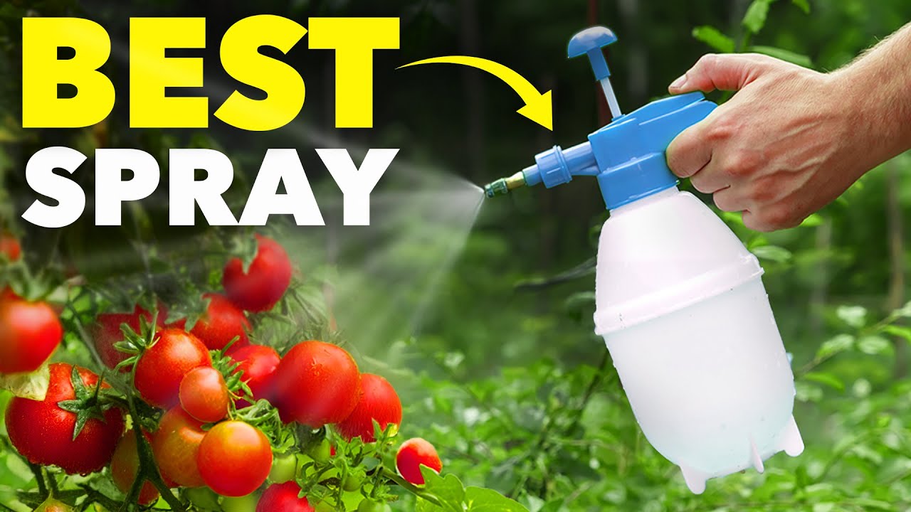 This ONE Spray is Every Smart Gardener's Secret Weapon - YouTube