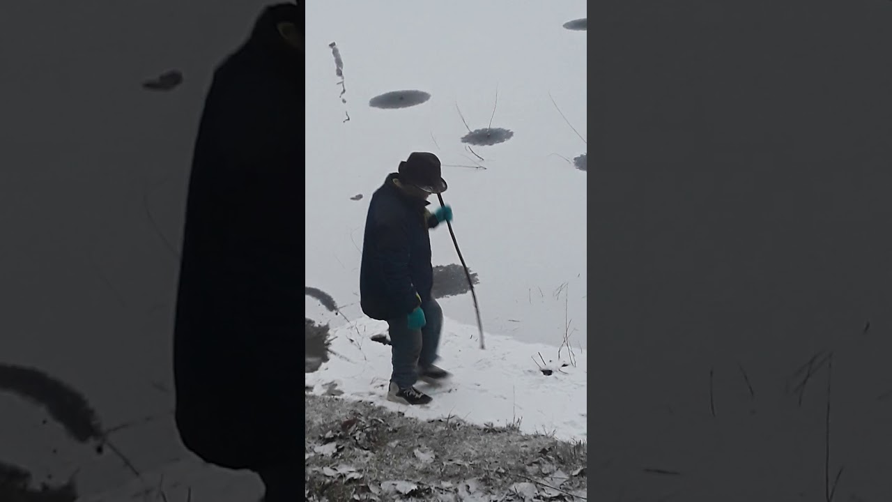 Ice walker - YouTube