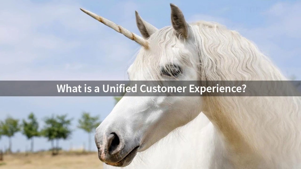 The Unicorn Solution Webinar - YouTube