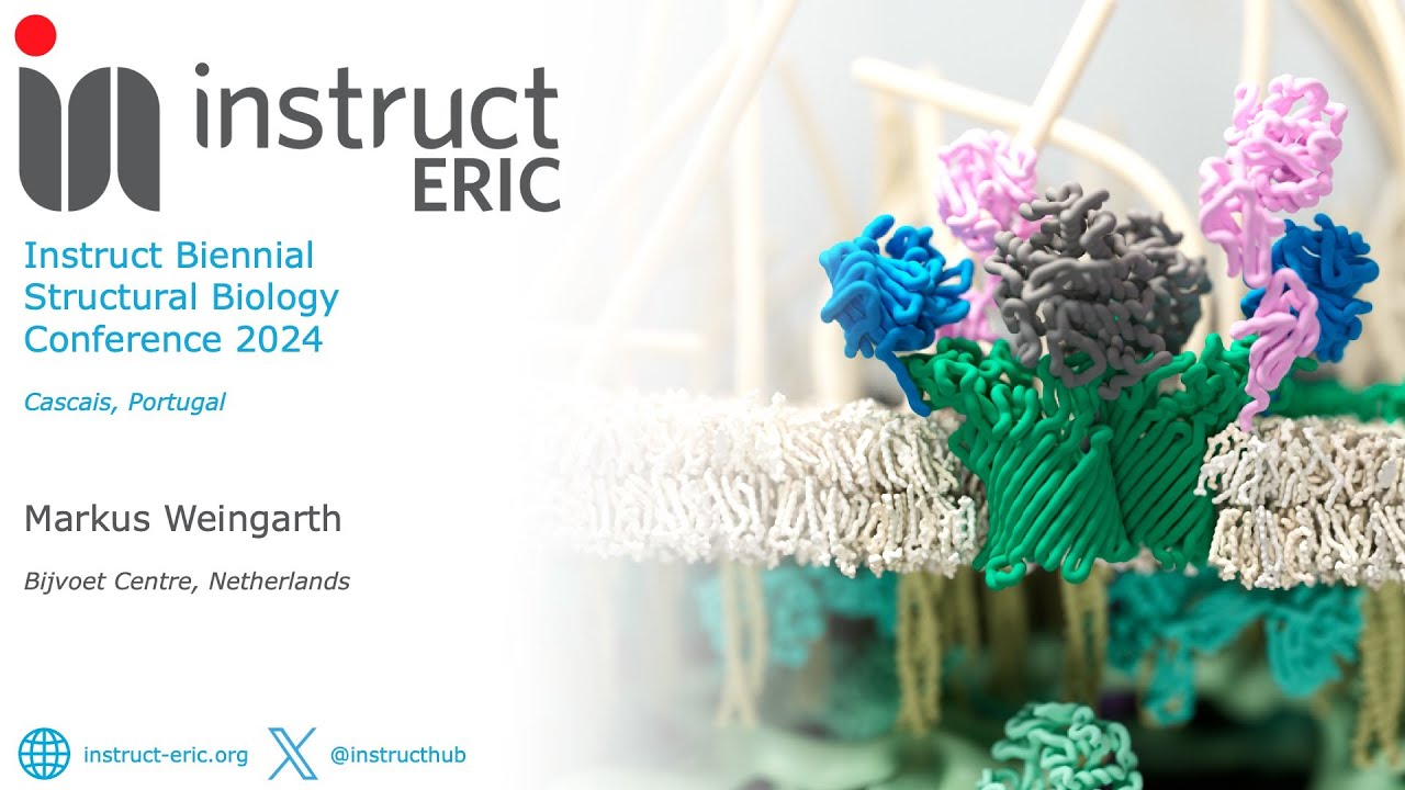 Markus Weingarth | Instruct Biennial Structural Biology Conference 2024 ...