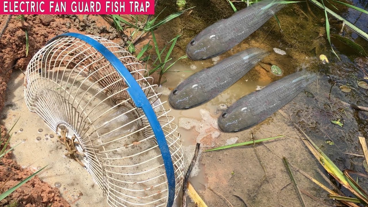 Catching Fish - Electric Fan Guard Fish Trap - Fishing in Cambodia 😍😍😍 ...