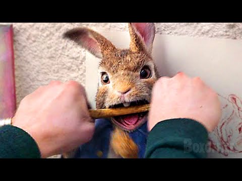 Man Fights Rabbit | BATTLE SCENE | Peter Rabbit | Clip