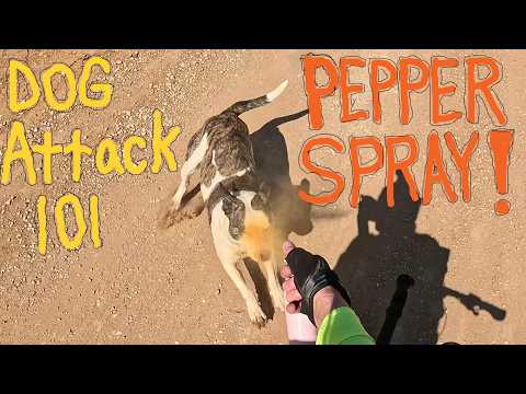 DOG ATTACK 101: 5TH EDITION w/BIG TEX/AMPUTEE CYCLIST AARON SMITH of Gainesville, TX Pimienta Perros