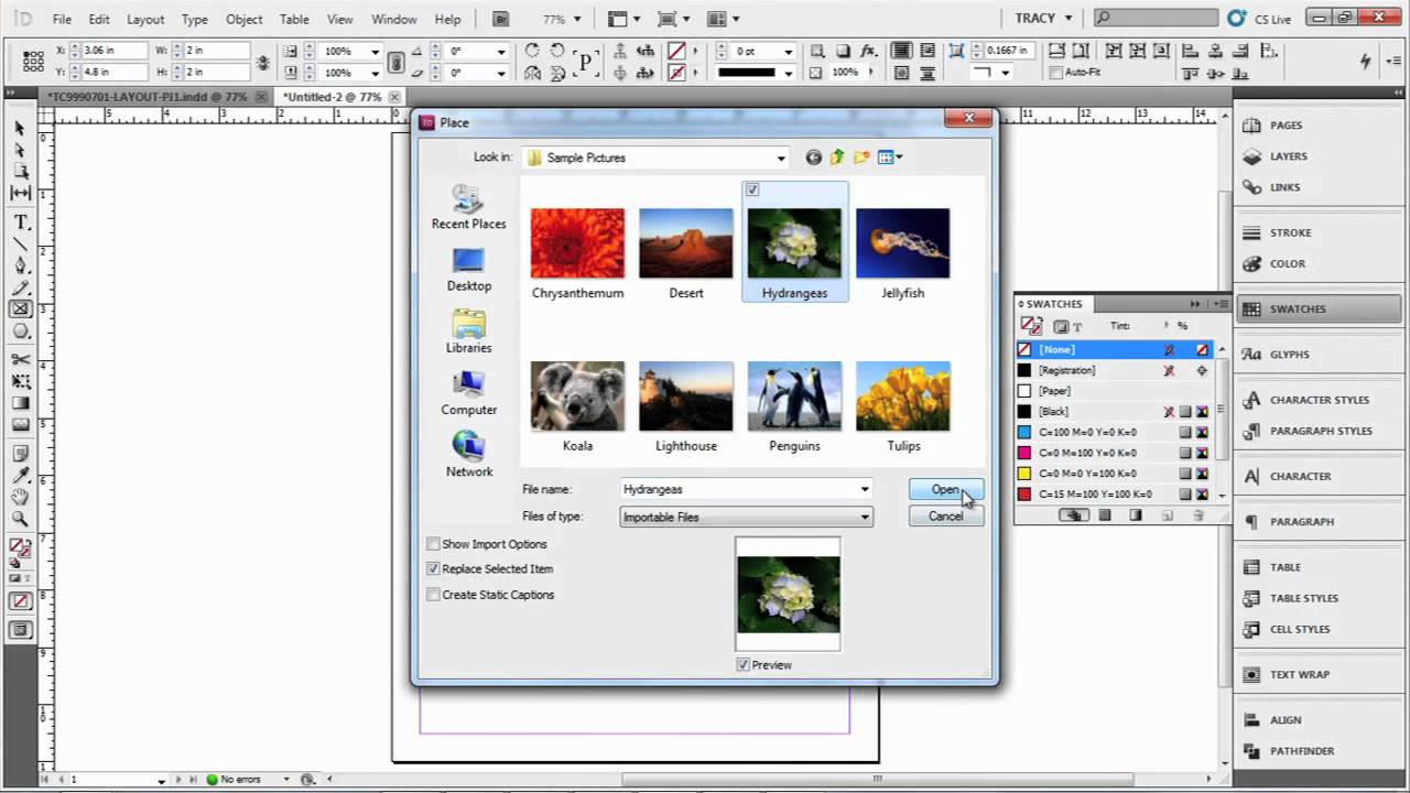 Adobe InDesign Tips : How to Input a Picture in InDesign - YouTube